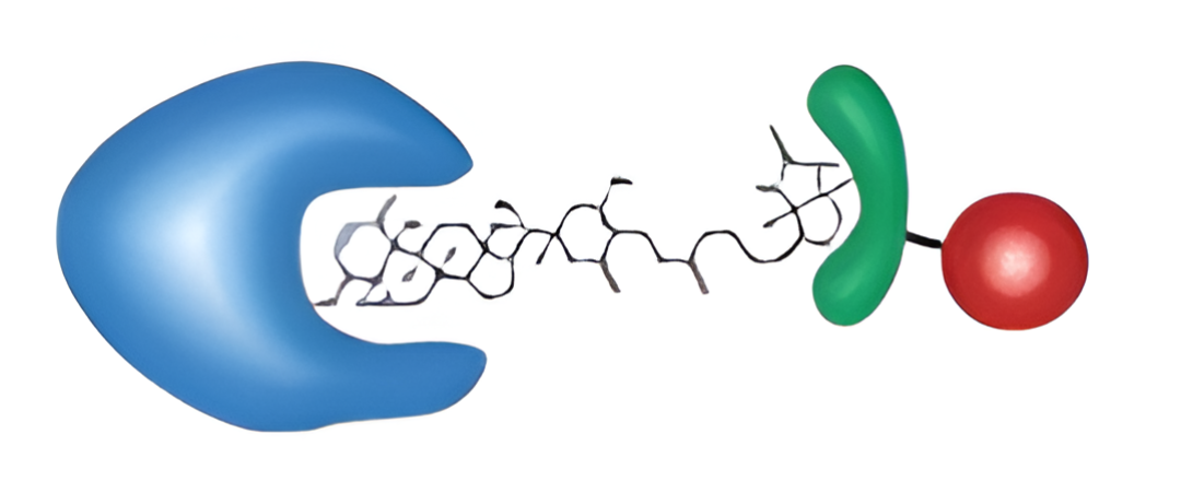 Bioactive Small Molecules for Drug Discovery – Abound